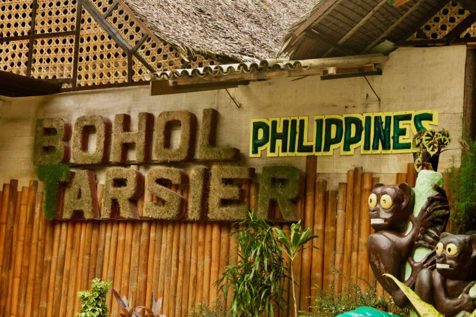 Guide to Bohol Island in the Philippines: The Best Things to See and Do ...