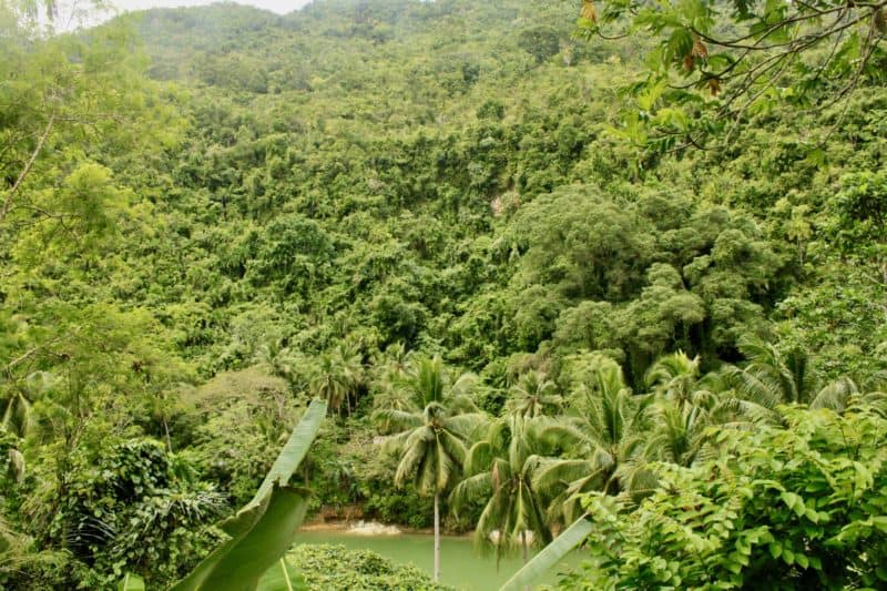 Guide to Bohol Island in the Philippines: The Best Things to See and Do ...