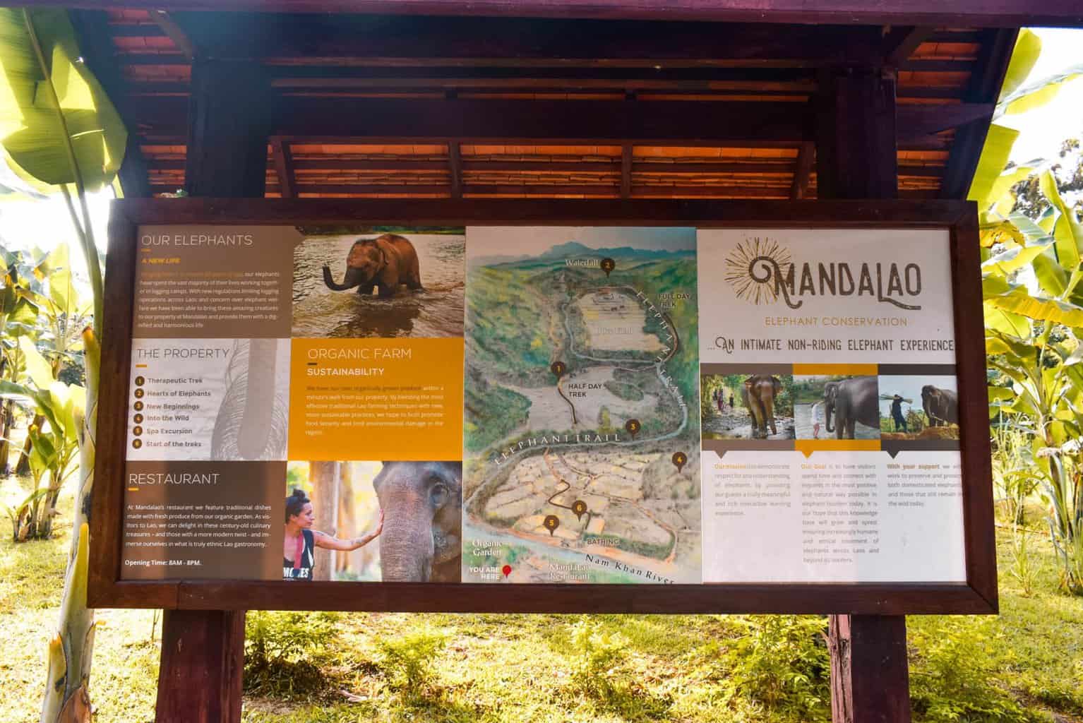 Ethical Elephant Experience in Luang Prabang: MandaLao Elephant ...