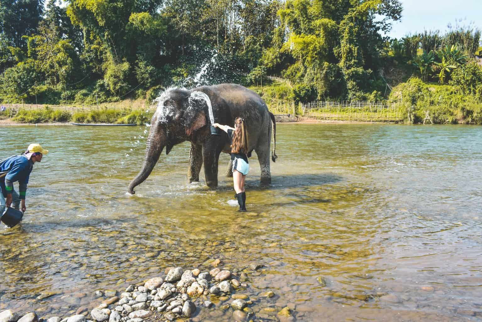 Ethical Elephant Experience in Luang Prabang: MandaLao Elephant ...