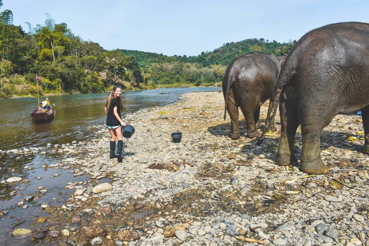 Ethical Elephant Experience in Luang Prabang: MandaLao Elephant ...