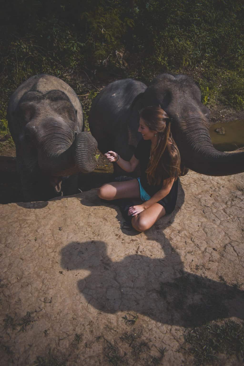 Ethical Elephant Experience in Luang Prabang: MandaLao Elephant ...