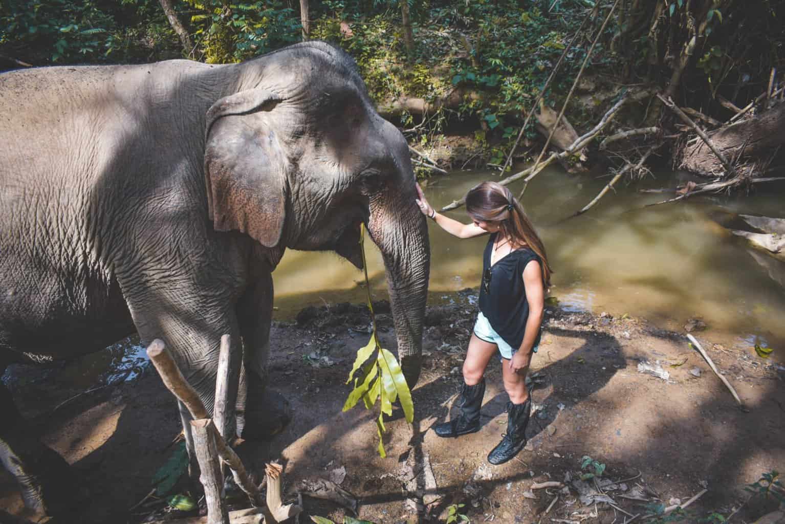 Ethical Elephant Experience in Luang Prabang: MandaLao Elephant ...