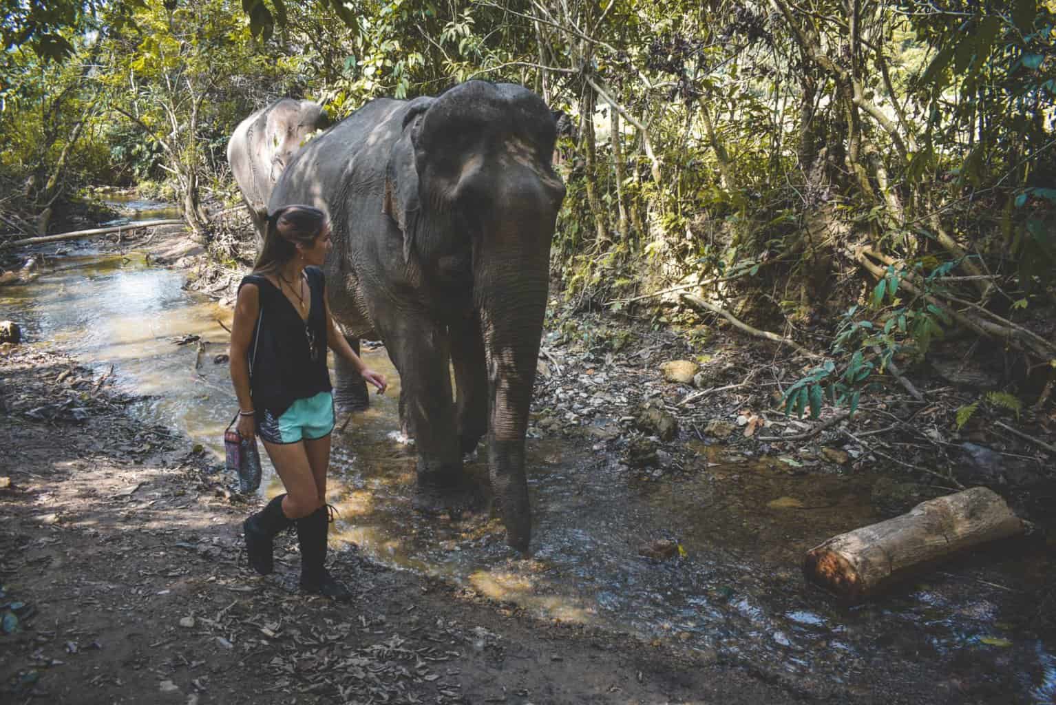 Ethical Elephant Experience in Luang Prabang: MandaLao Elephant ...