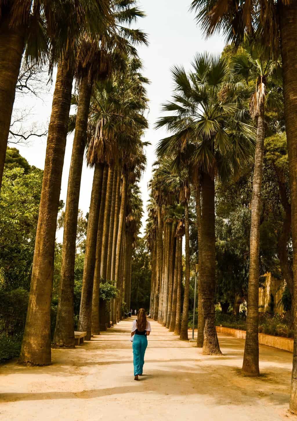Fes Travel Guide: Best Things to Do & See in Fes, Morocco - Stoked to ...