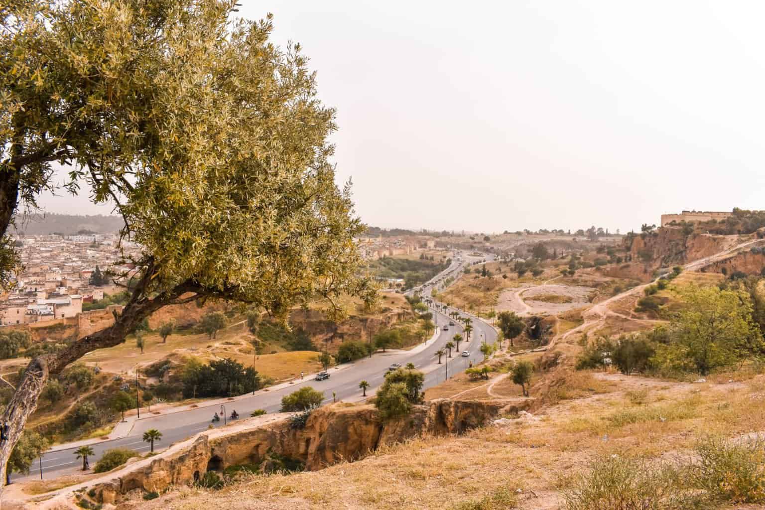 Fes Travel Guide: Best Things to Do & See in Fes, Morocco - Stoked to ...