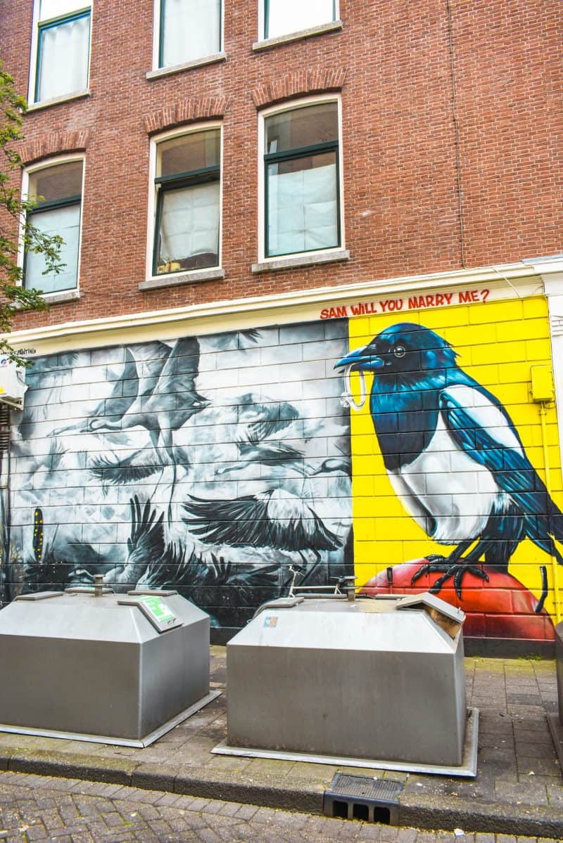 Rotterdam Travel Guide: Best Things to Do in Rotterdam - Stoked to Travel