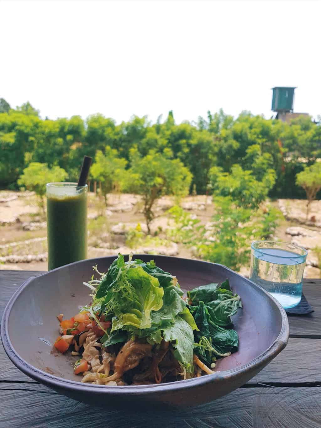 The Best Vegan and Plant-Based Cafes To Try in Bali - Stoked to Travel