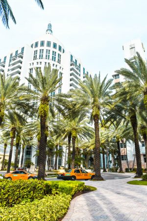 Best Neighbourhoods in Miami: Places to Visit in Miami - Stoked To Travel