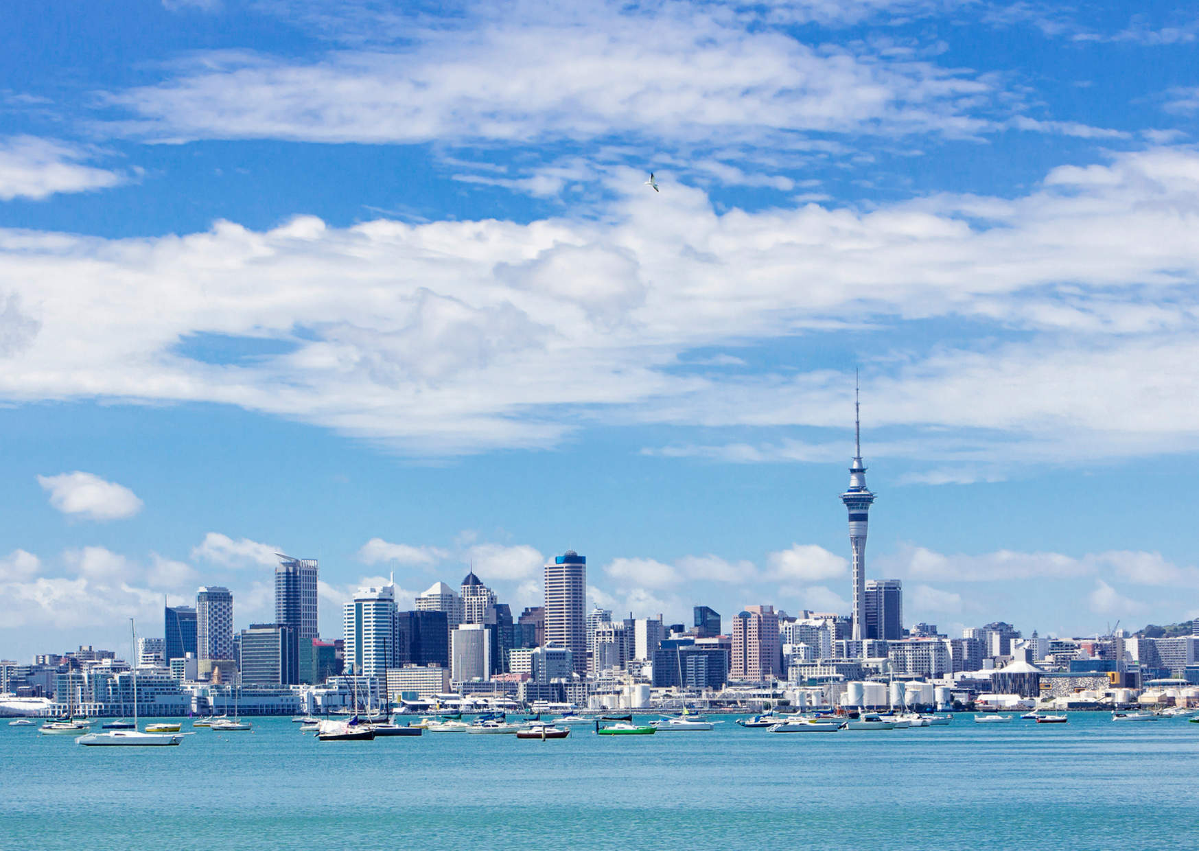 Best Places to Visit on North Island in New Zealand - Stoked to Travel