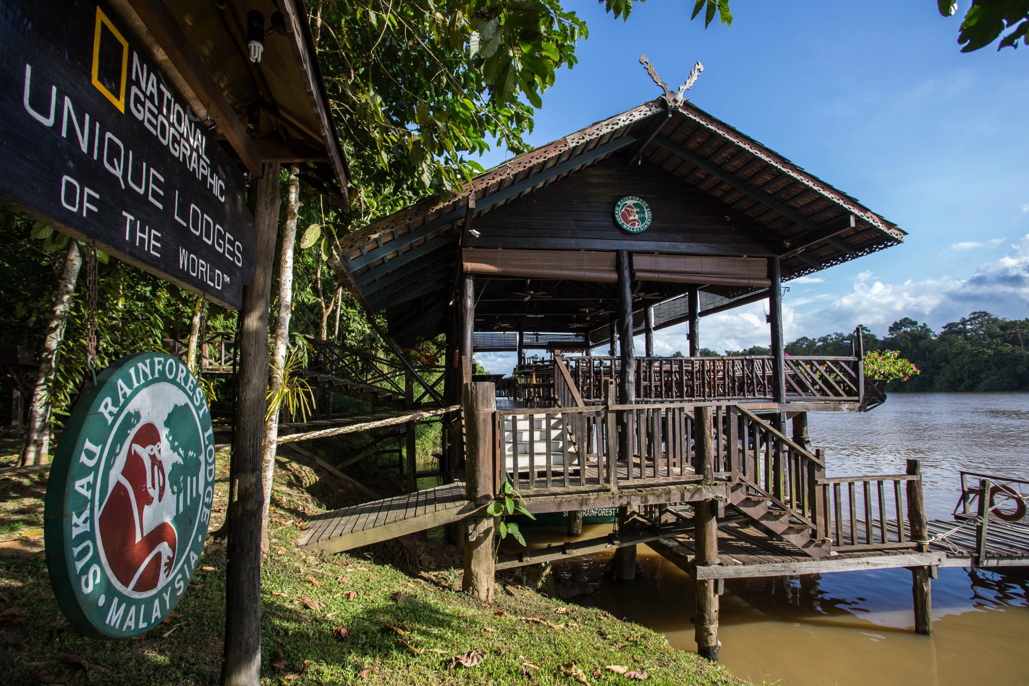 Where to See Orangutans in Borneo: A Complete Guide - Stoked To Travel
