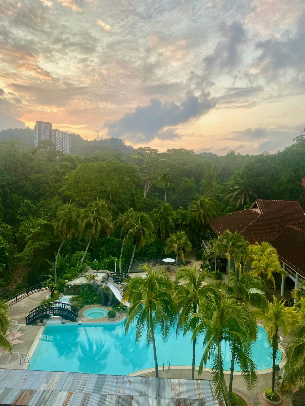 Best Things to Do in Sepilok and Sandakan in Borneo - Stoked To Travel