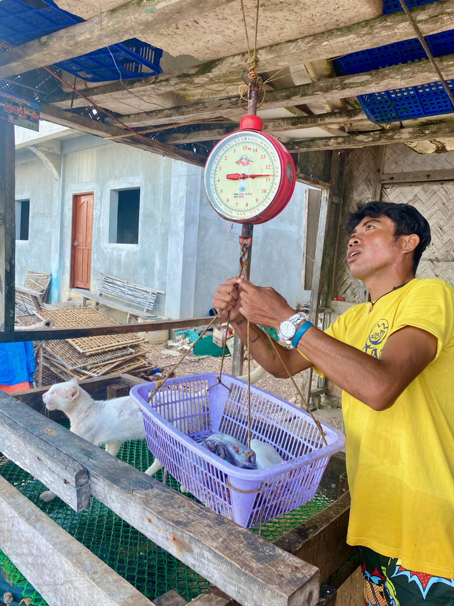 Complete Guide to Island Hopping with Tao Philippines - Stoked To Travel