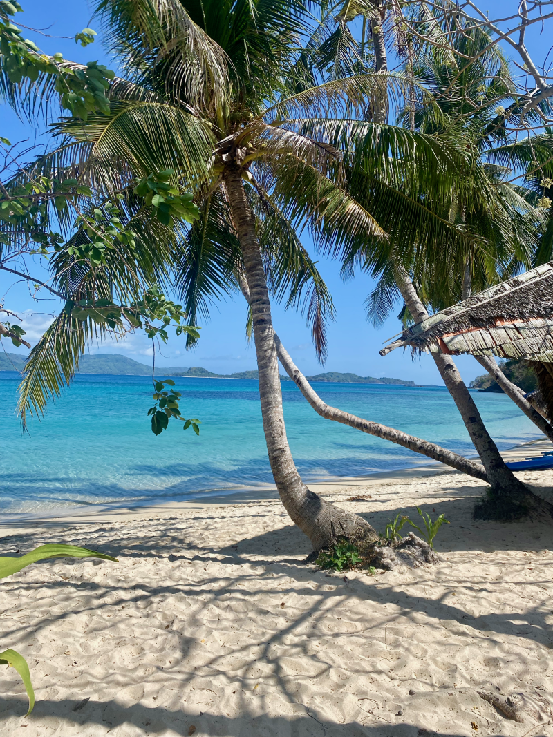 Complete Guide to Island Hopping with Tao Philippines - Stoked To Travel